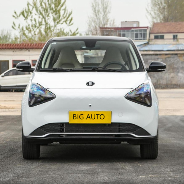 Low Consumption Pure Electric Car Joy 01 10.3kWh Per 100km Lang Range ...