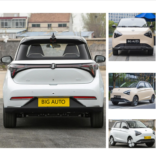 Large Capacity Trunk High Speed Pure Electric Car Joy 01 Lang Range Car