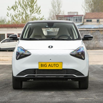 Low Consumption Pure Electric Car Joy 01 10.3kWh Per 100km Lang Range ...